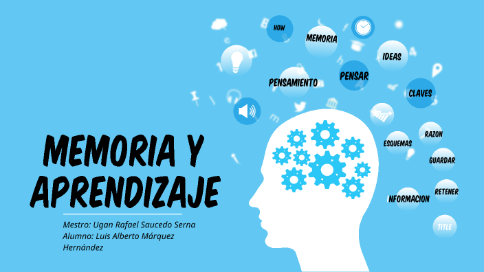 Memoria Y Aprendizaje By Luis Alberto Marquez Hernandez On Prezi
