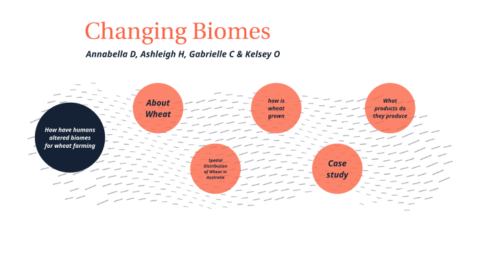 How have humans altered biomes by Ashleigh Head on Prezi