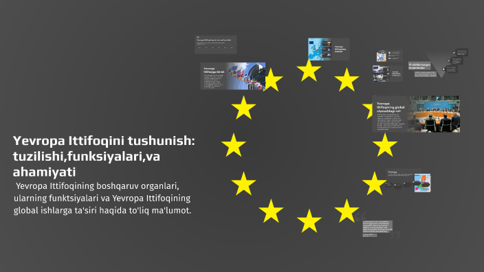 Understanding the European Union: Structure, Functions, and ...