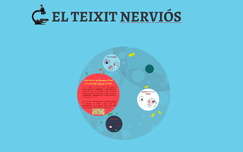 EL TEIXIT NERVIÓS by Mireia Muñoz on Prezi