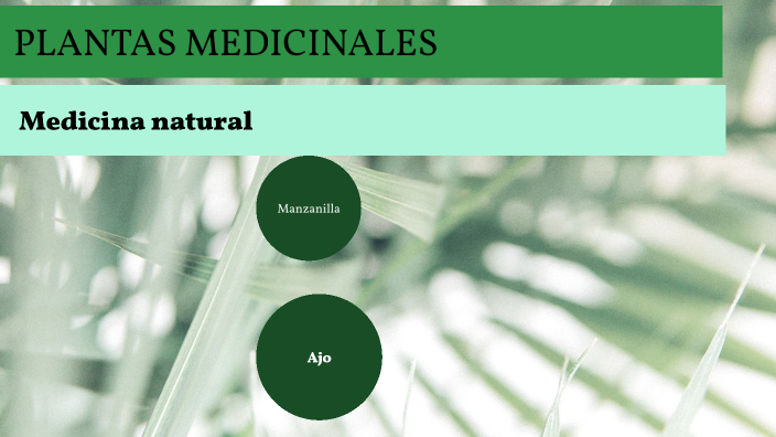 PLANTAS MEDICINALES by nelida rocha on Prezi