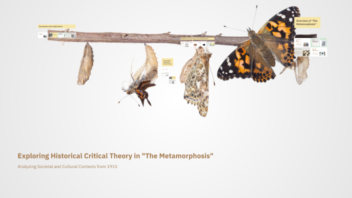 Exploring Historical Critical Theory in "The Metamorphosis" by Marcus ...