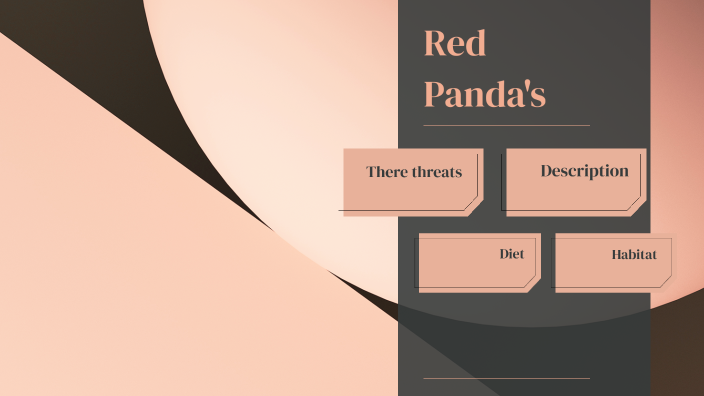 Red Panda Presentation by modupe badejo on Prezi