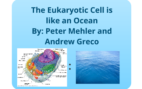 Science Cell Analogy by Peter Mehler on Prezi
