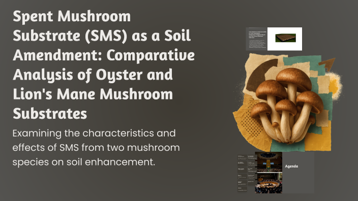 Spent Mushroom Substrate (SMS) as a Soil Amendment: Comparative ...