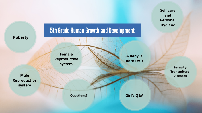 5th Grade Human Growth and Development by Allison Heisler on Prezi