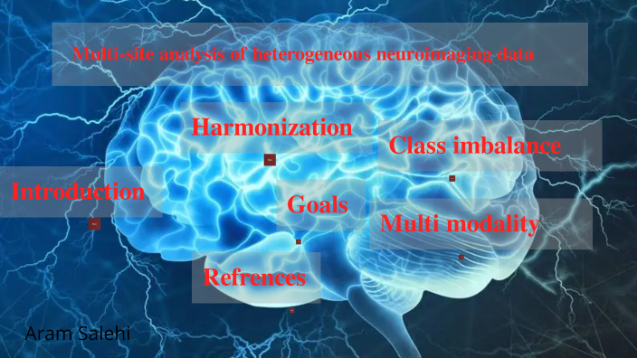 Multi-site analysis of heterogeneous neuroimaging data by aram salehi ...