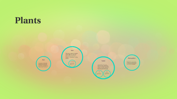 Plants by isabel knapp on Prezi