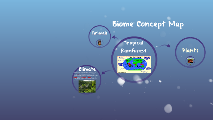 Biome Concept Map by Ale Matas on Prezi