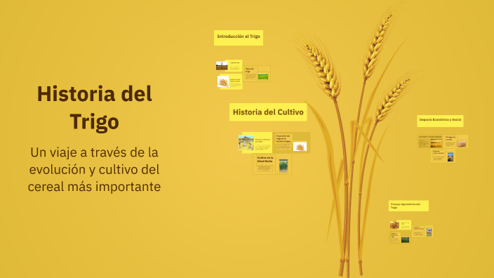 Historia del Trigo by Luisa alejandra Castillo nieto on Prezi