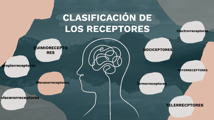CLASIFICACION DE LOS RECEPTORES by Isabella Hernandez on Prezi