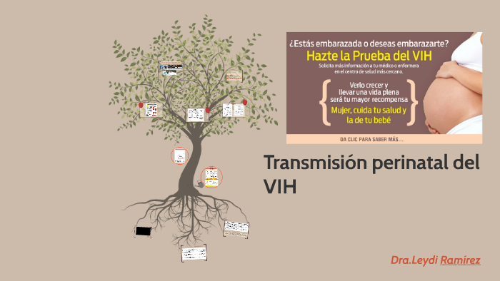 Transmisión perinatal del VIH by Dra. Leydi Ramírez Pérez on Prezi