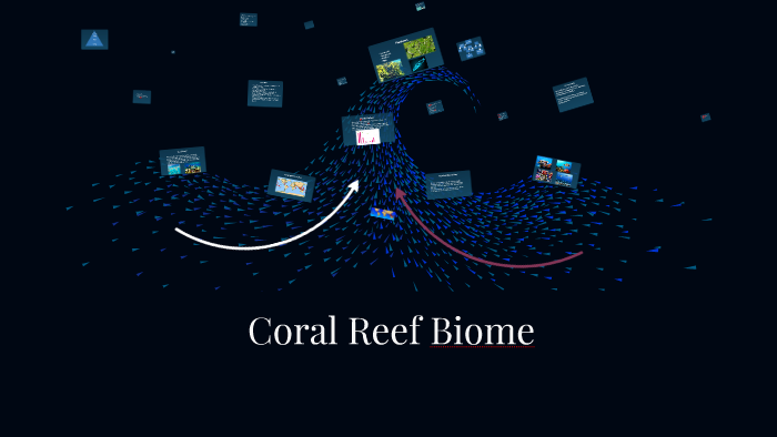 Coral Reefs by grace wiggins on Prezi