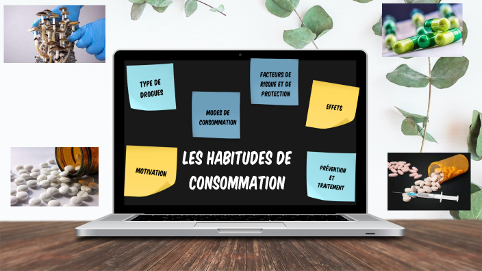 Les habitudes de consommation by Mohamed-Ilyes Djennane on Prezi