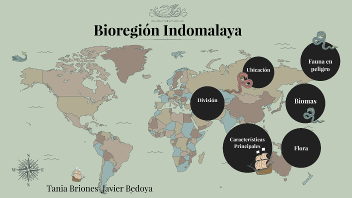 Región Biogeográfica Indomalaya by Tania Briones on Prezi