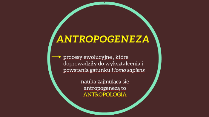 ANTROPOGENEZA by Agnieszka Rak on Prezi