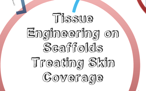 Tissue Engineering on Scaffolds and Their Skin Coverage by Amber Taylor ...