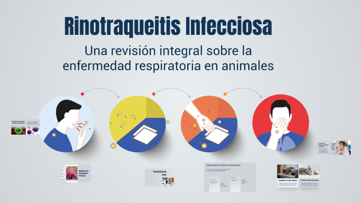 Rinotraqueitis Infecciosa by Jessica Pérez Monzón on Prezi