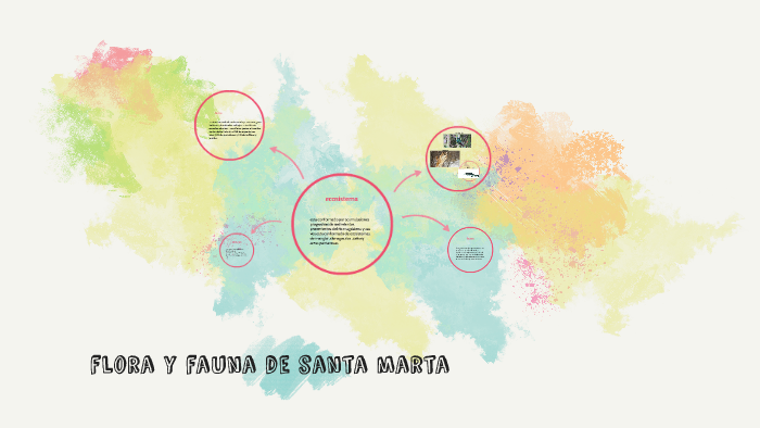 flora y fauna de santa marta by yenny alejandra perez on Prezi