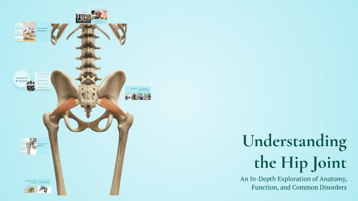 Understanding the Hip Joint by Sara Sepehri on Prezi