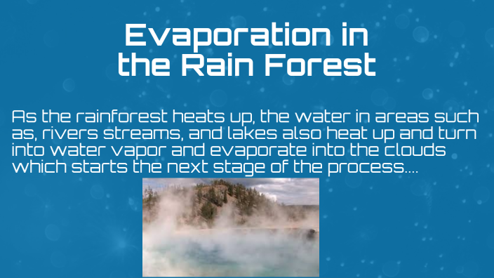 Rainforest Water Cycle by Isaiah bleich on Prezi