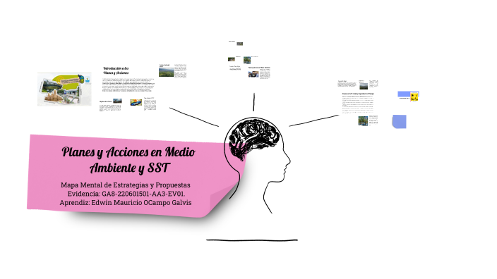 Planes y Acciones en Medio Ambiente y SST by edwin mauricio ocampo ...