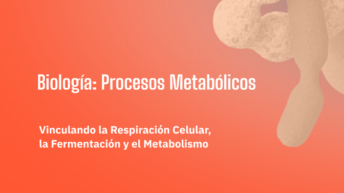 Biología: Procesos Metabólicos by iñaki areche on Prezi