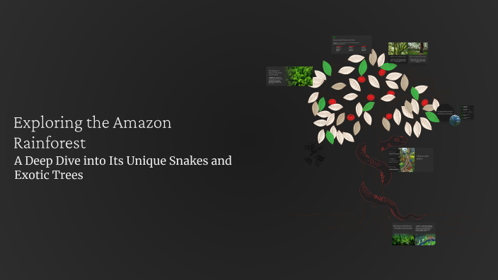 Exploring the Amazon Rainforest by Angshu Man on Prezi