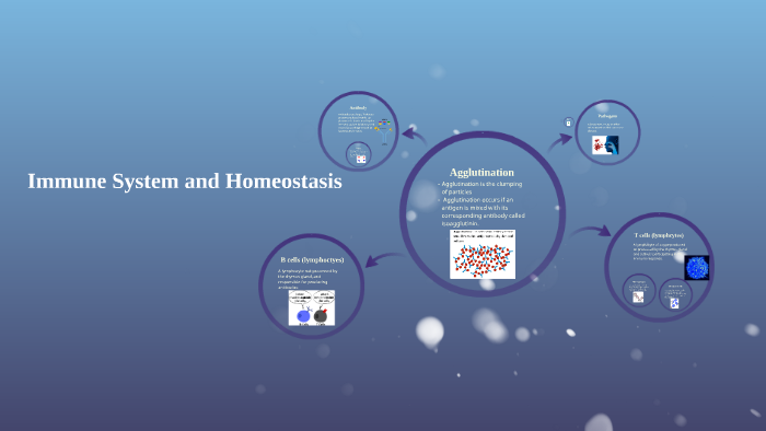 Immune System and Homeostasis by Maryann Hassan on Prezi