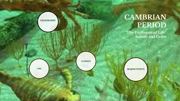 cambrian period by grace ewart on Prezi