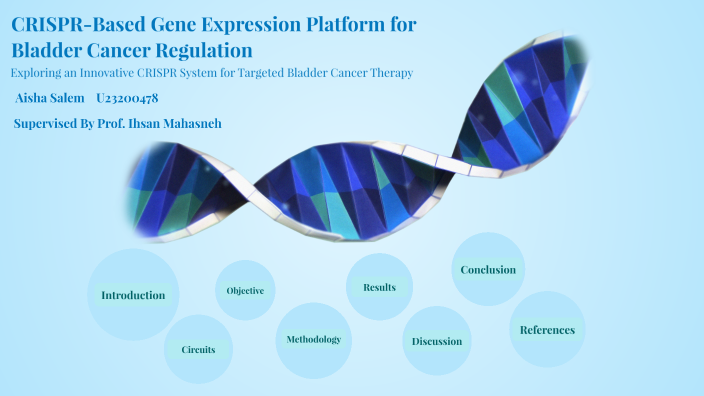 CRISPR-Based Gene Expression Platform for Bladder Cancer Regulation by ...