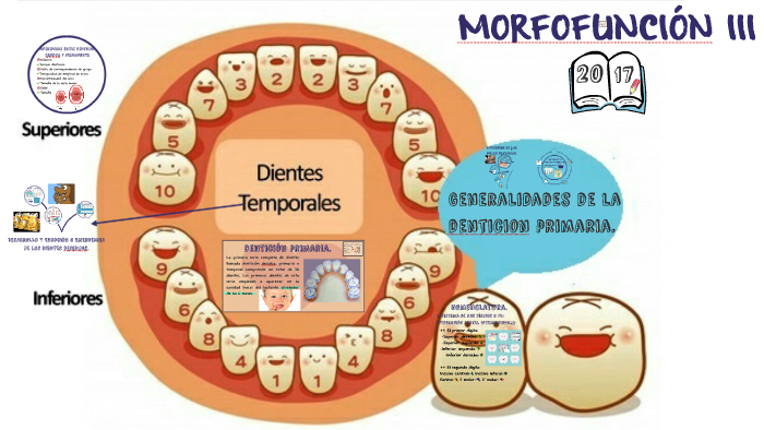 Morfofunción III by Clau Jimenez on Prezi