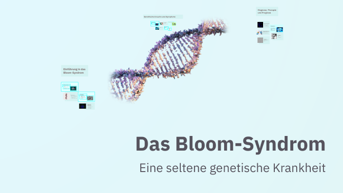 Das Bloom-Syndrom by Mert Yazir on Prezi