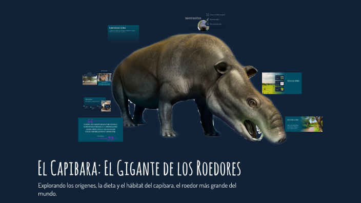 El Capibara: El Gigante de los Roedores by Itzel Alexandra Bernal ...