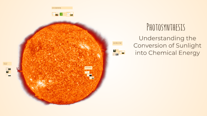 The Wonders of Photosynthesis by Faith Martin on Prezi