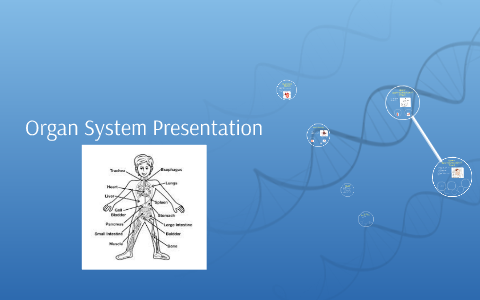 Organ System Presentation by on Prezi