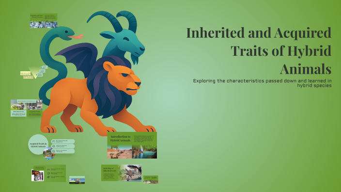 Inherited and Acquired Traits of Hybrid Animals by Robin Alicia on Prezi