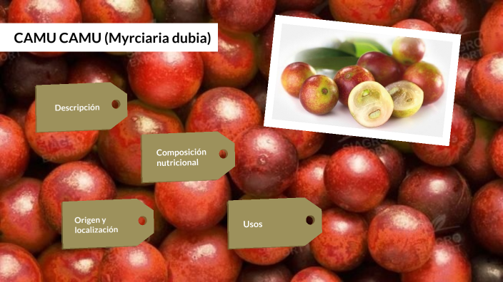Camu Camu by Kennedy Rojas on Prezi