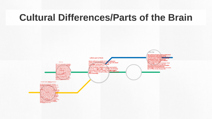 Cultural Differences/Parts of the Brain by on Prezi