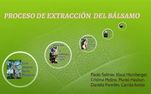 PROCESO DE EXTRACCION DEL BALSAMO by Camila Avelar on Prezi