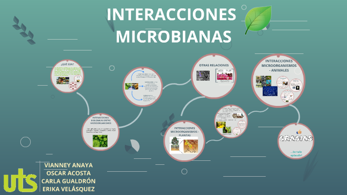INTERACCIONES MICROBIANAS by Vianney Anaya on Prezi