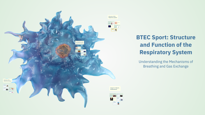BTEC Sport: Structure and Function of the Respiratory System by Emily ...