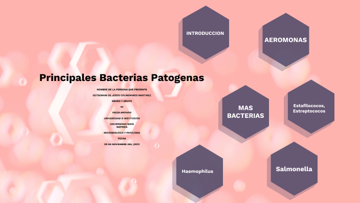 Getsemani_Enf_4C_Principales bacterias patógenas by Dannia angelica ...