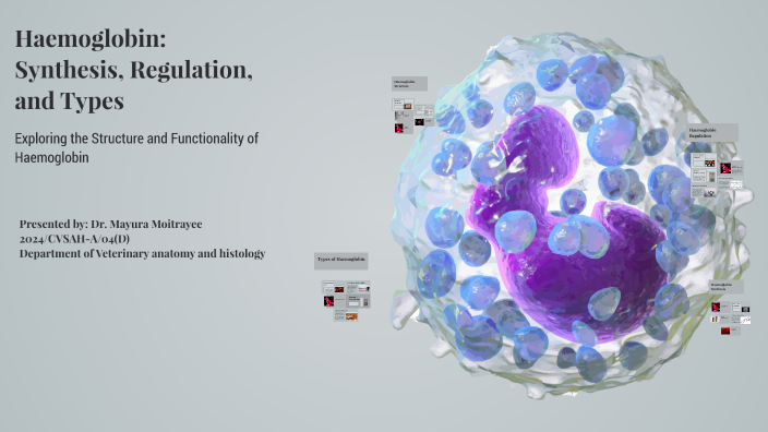 Haemoglobin: Synthesis, Regulation, and Types by Mayura Moitrayee on Prezi