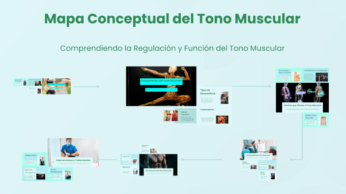 Mapa Conceptual del Tono Muscular by Betzabeth Ovalle on Prezi