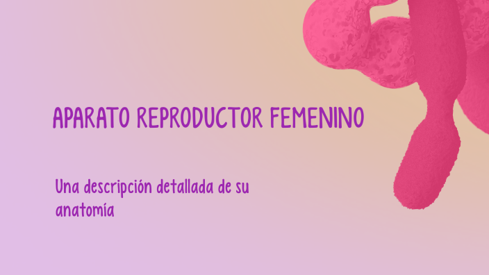 APARATO REPRODUCTOR FEMENINO by Marco Condori on Prezi