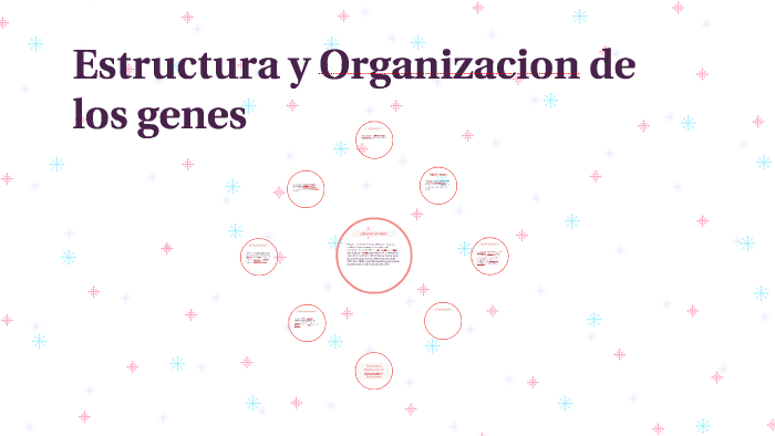 Estructura y Organizacion de los genes by Clau valenzuela on Prezi