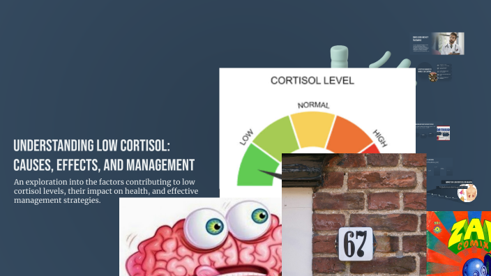 Understanding Low Cortisol: Causes, Effects, and Management by Anthony ...