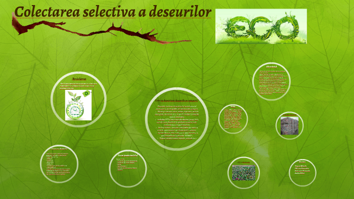 Colectarea selectiva a deseurilor by mihaela bogatu on Prezi