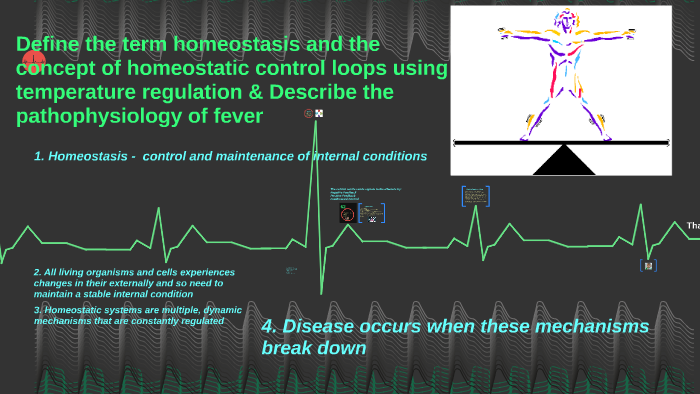 Homeostasis and The Pathophysiology of Fever by Omar Mansour on Prezi
